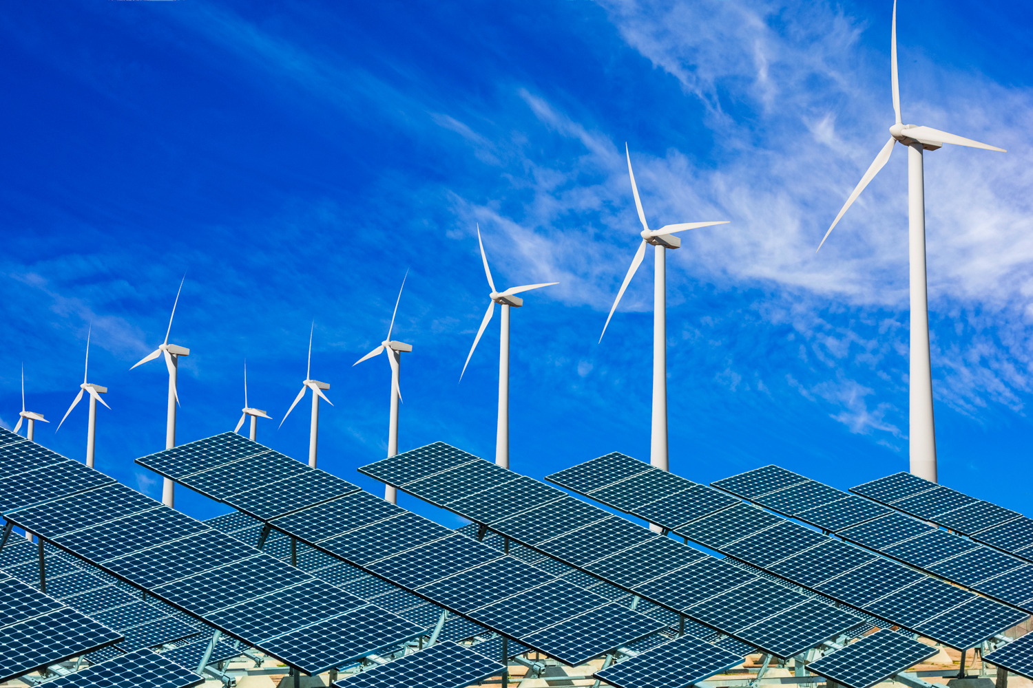 Going Green with Ambit Energy | Ambit Energy